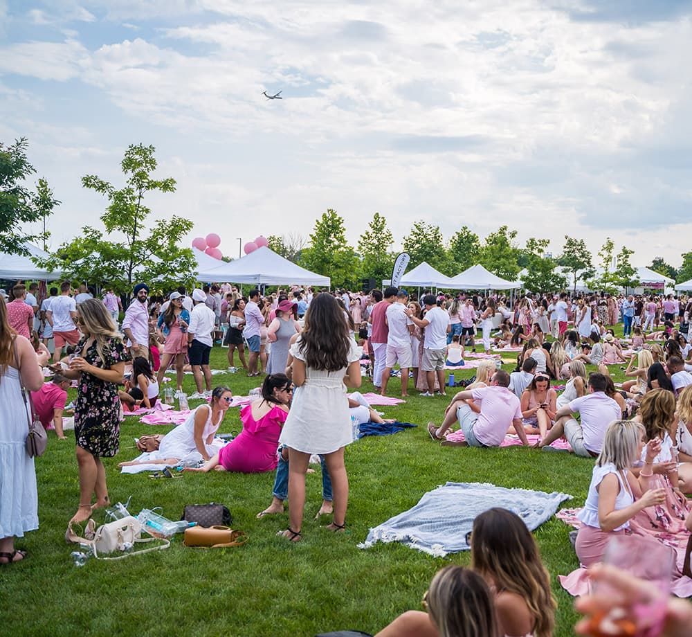 About The Rosé Picnic | Rosé Picnic